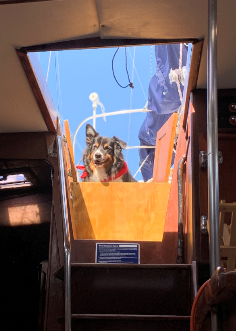 Sew, Sew, Sew Your Boat… – Sailing Marionette